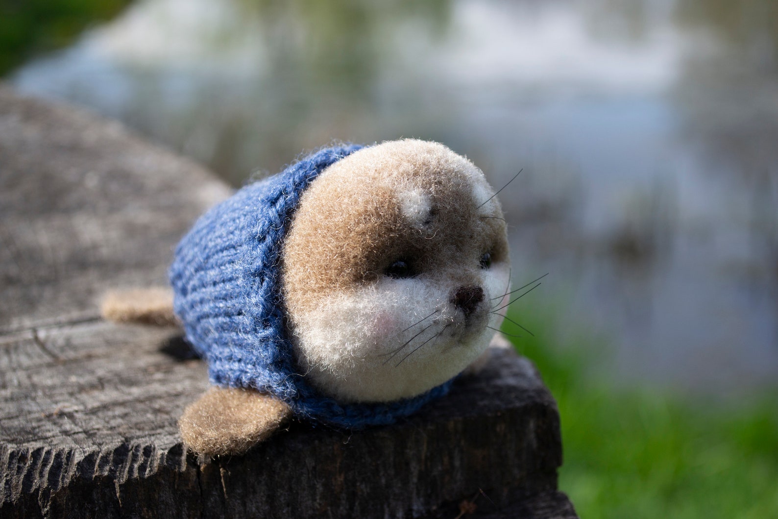 Needle Felted Seal Pup in Knitted Sweater - Etsy