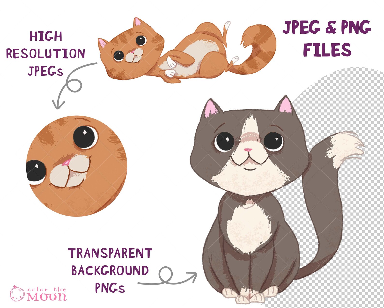 Cats Clipart, Kitten Digital Graphics, Cat Digital Clip Art, Cats ...