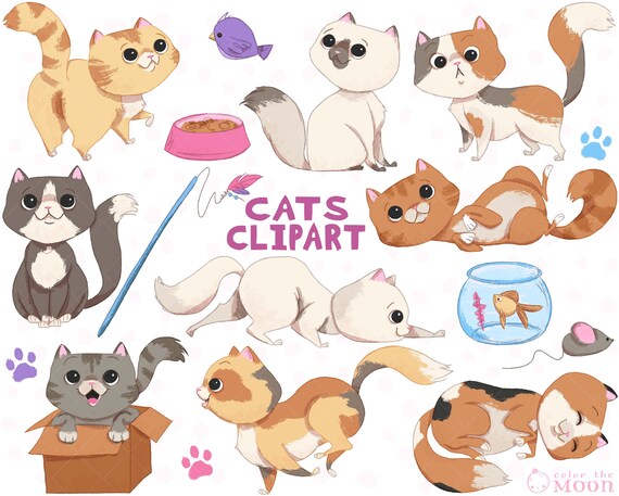 Kitten Color In Clipart