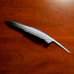 Hand-cut Goose Feather Quill Pen 18th Century Reproduction - Etsy