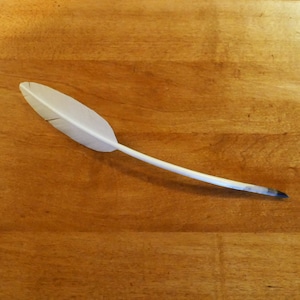 Hand-cut Turkey Quill Pen 18th Century Reproduction - Etsy