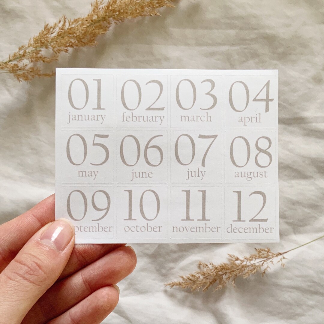12 Month Stickers | Bujo and Planner Stickers - Etsy