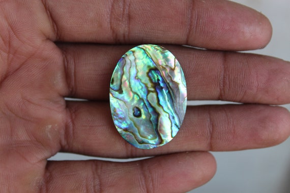 Awesome Abalone ShellAbalone Shell Oval Shape | Etsy