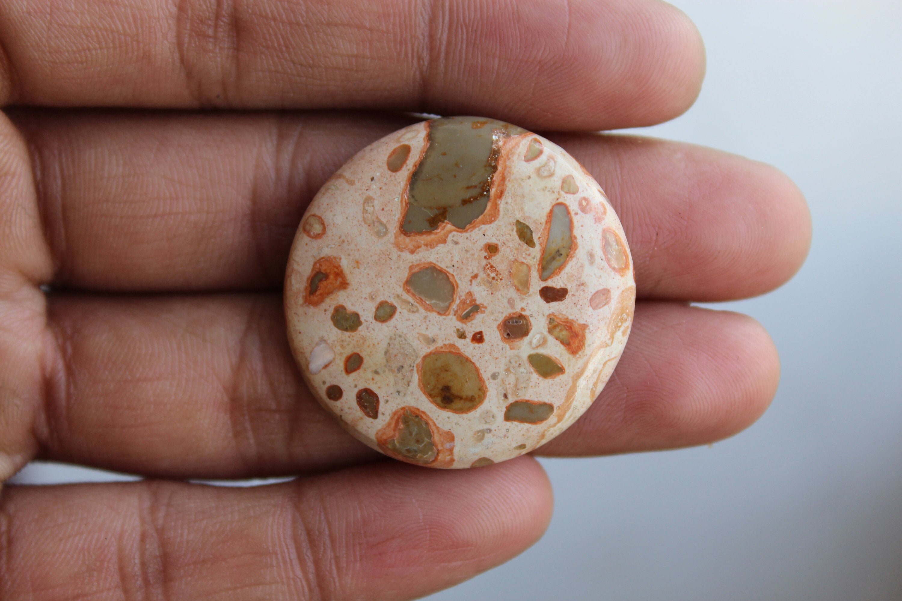 Gorgeous Leopardite Jasper Round Shape CabochonLeopardite | Etsy