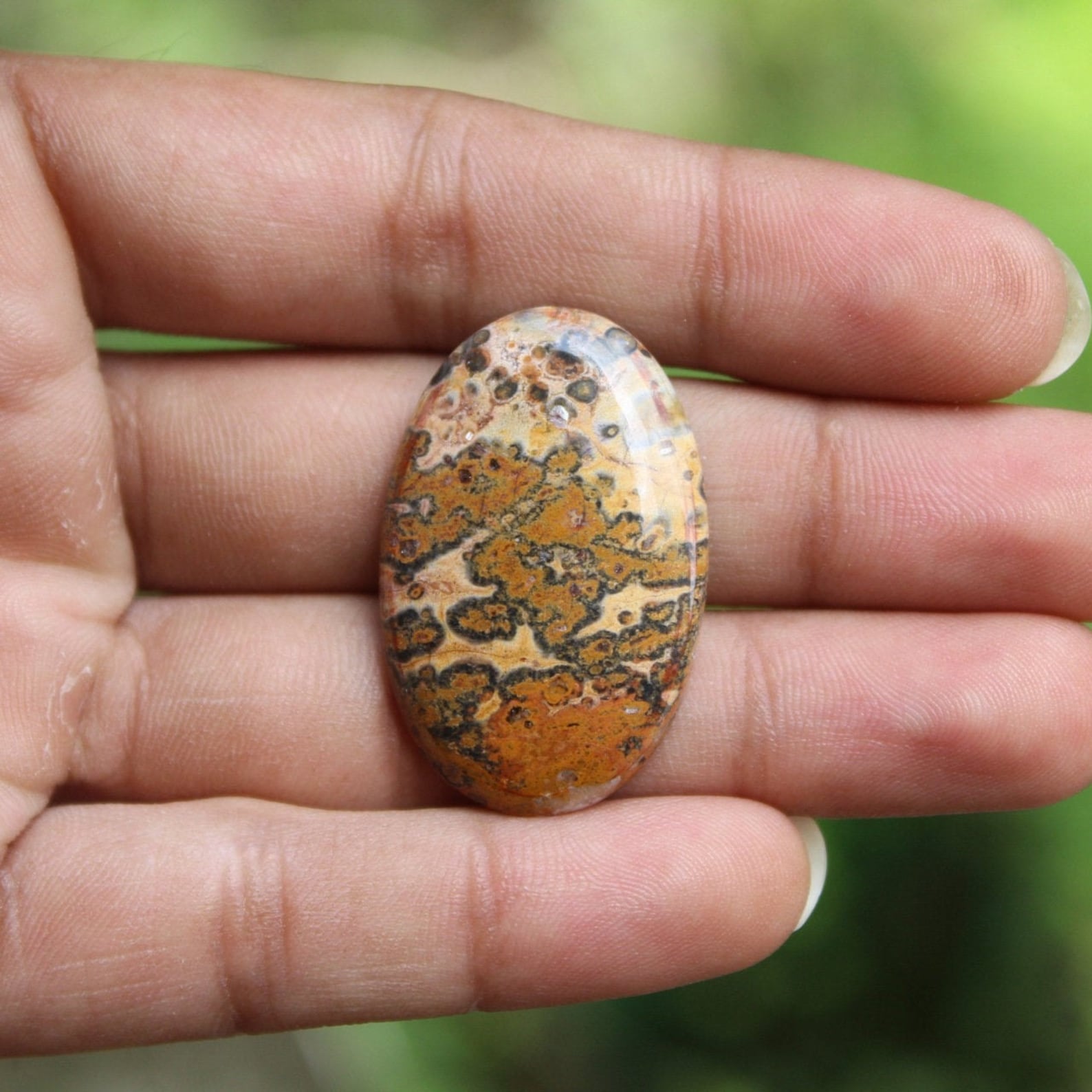 Leopard skin jasper 2kinds - fetibabes