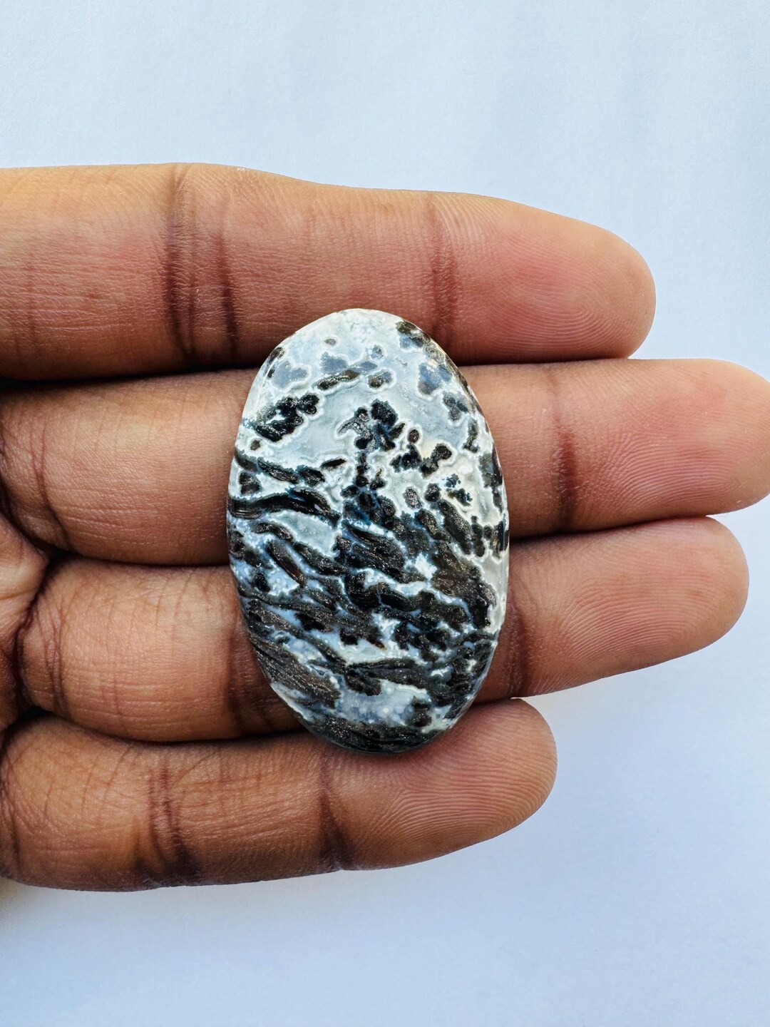 Gorgeous Petrified Palm Root Oval Shape Cabochon, Astrophyllite ...