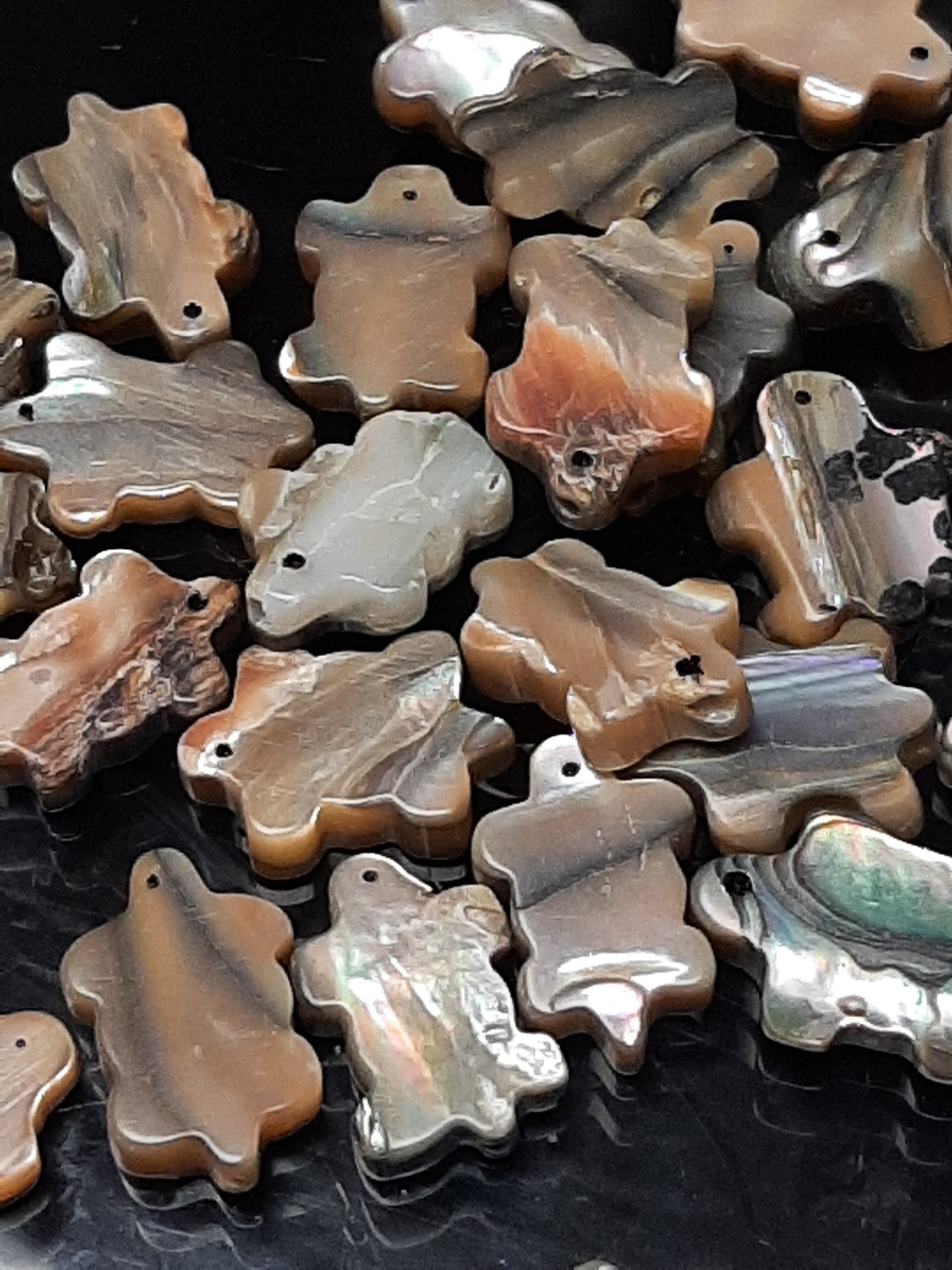 Abalone Turtles - Etsy