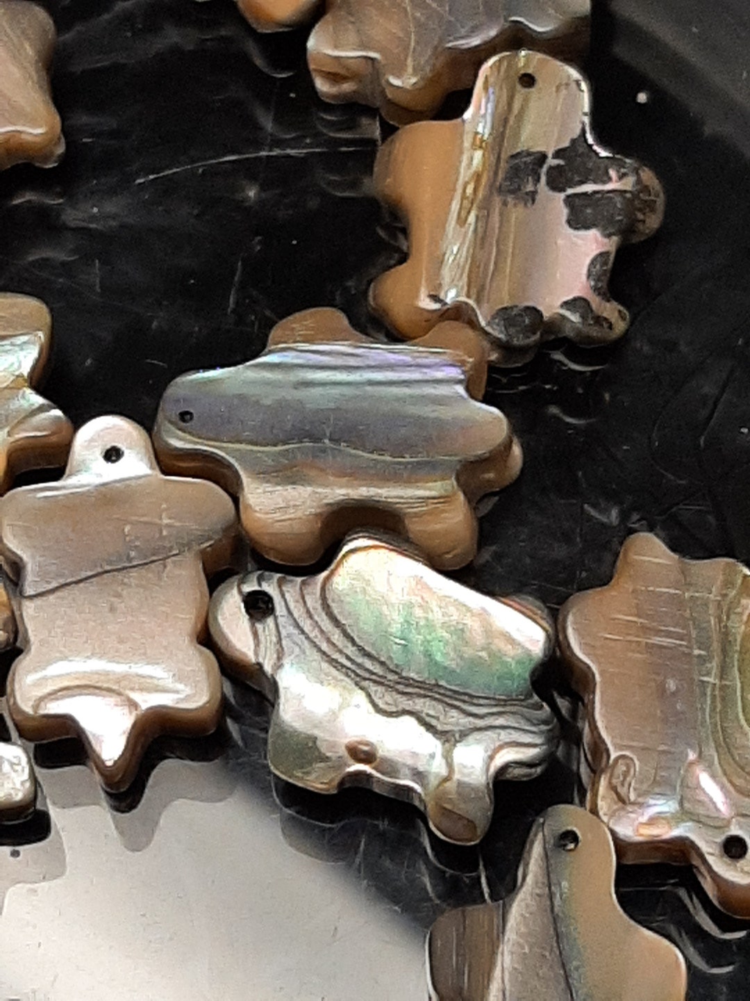 Abalone Turtles - Etsy