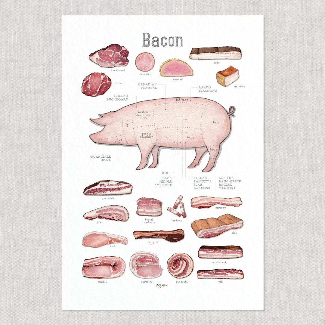 Bacon chart: Poster / Food / Illustrations / Art Print / Home Decor ...