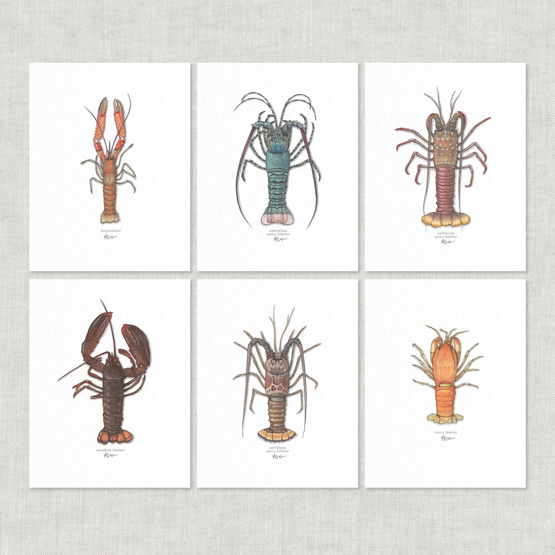 Lobsters (1 of 2) : 8.5 X 11 Art Print / Watercolor Illustration / Home ...