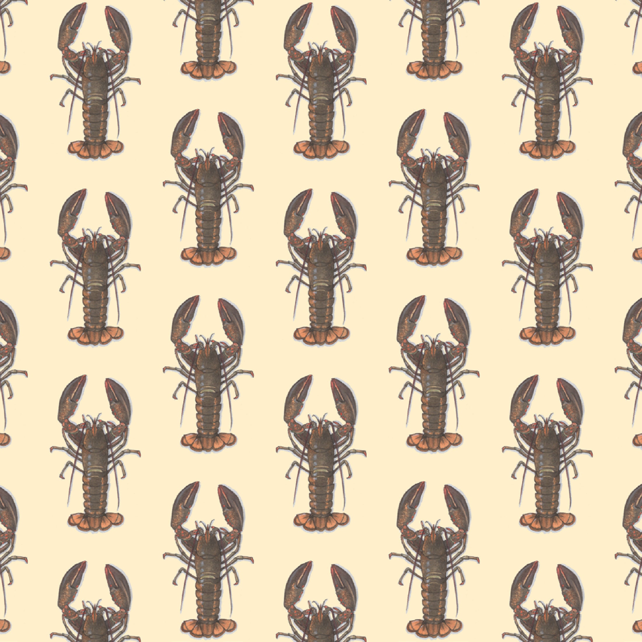 Lobsters: Gift Wrap Paper 13x19 Sheet / Birthday / Holidays - Etsy