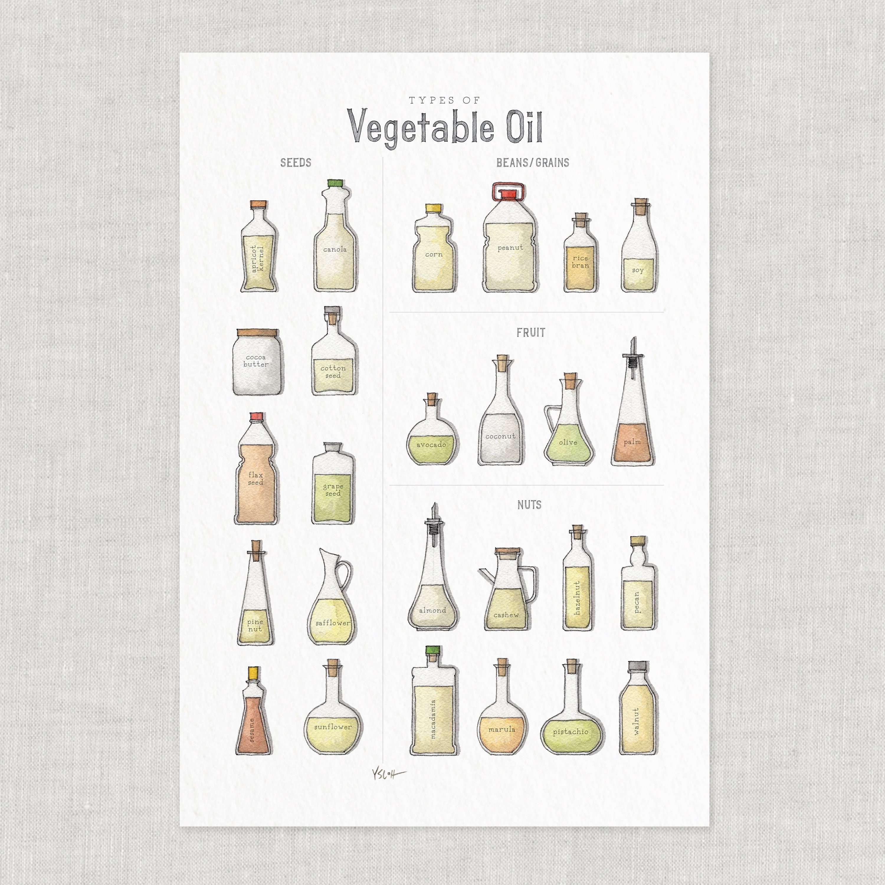 Fats: Vegetable Oils / Poster / Chart / Types / Food / - Etsy