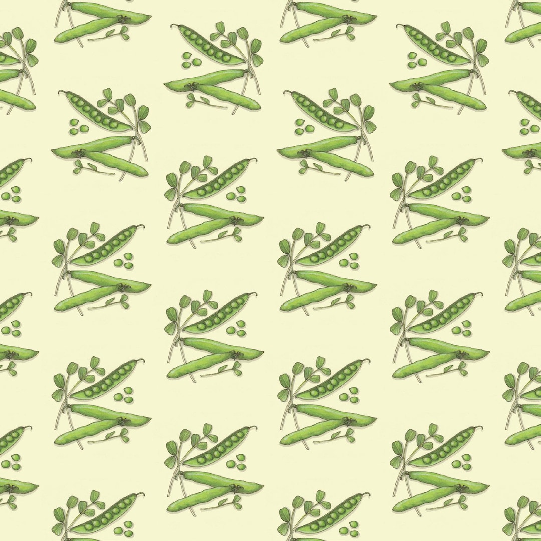 Vegetables: Gift Wrap Paper (13x19 Sheet) / Birthday / Parties ...