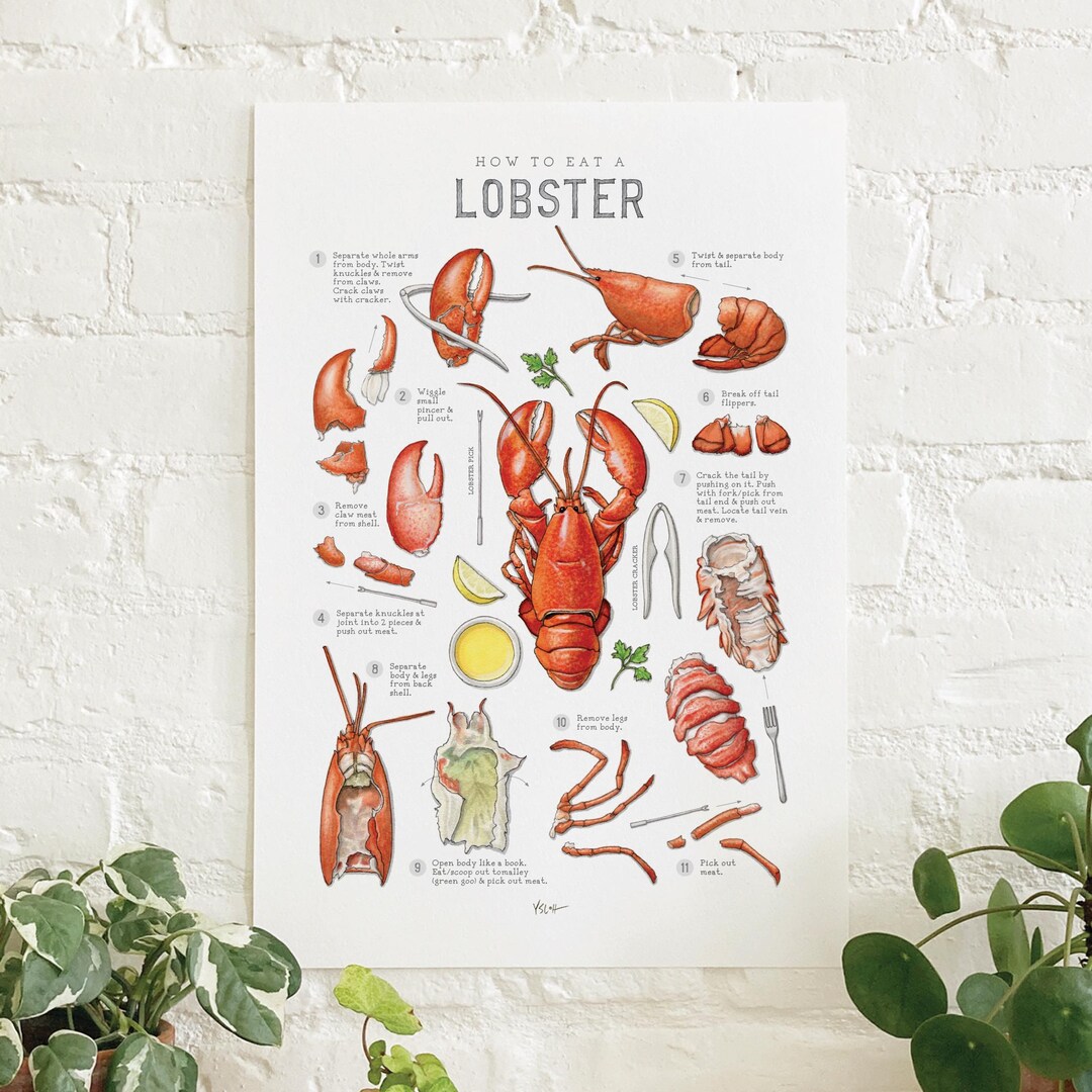 How to Eat a Lobster: Poster / Seafood / Food / Food & Cooking ...