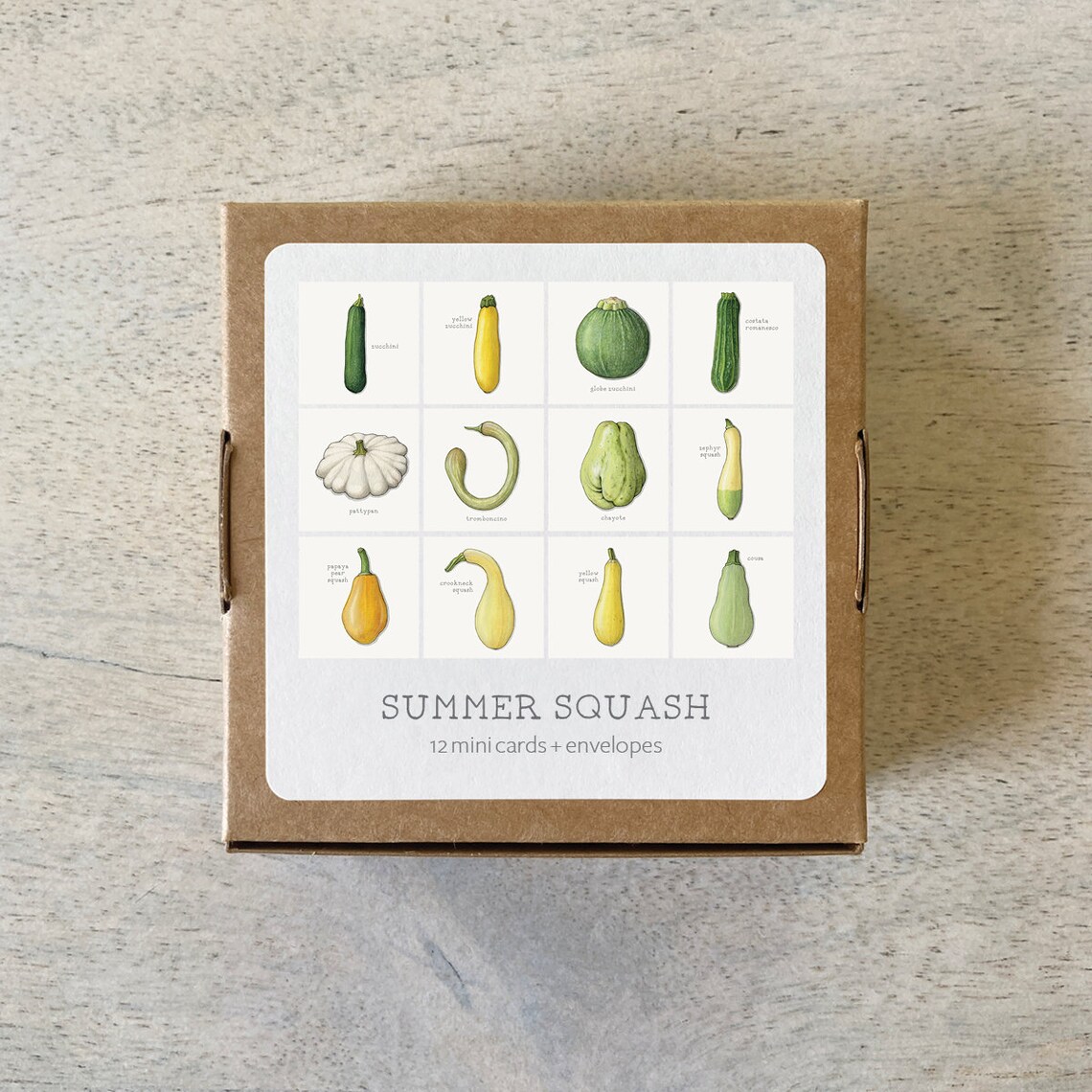 Squash: Mini Cards Box Sets / Gift Tags / Watercolor / Tiny Messages ...