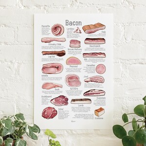 Bacon: Poster / Cured Meats - Etsy
