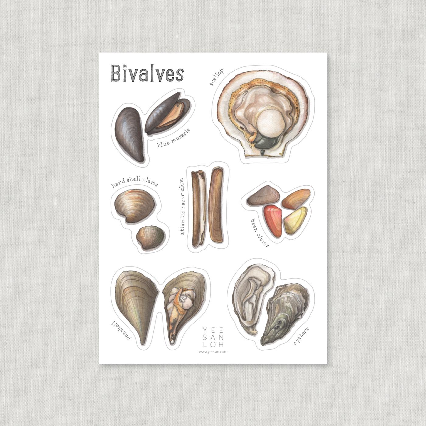 Stickers | Bivalves / Seafood / Shellfish / Clams / Oysters / Scallop ...