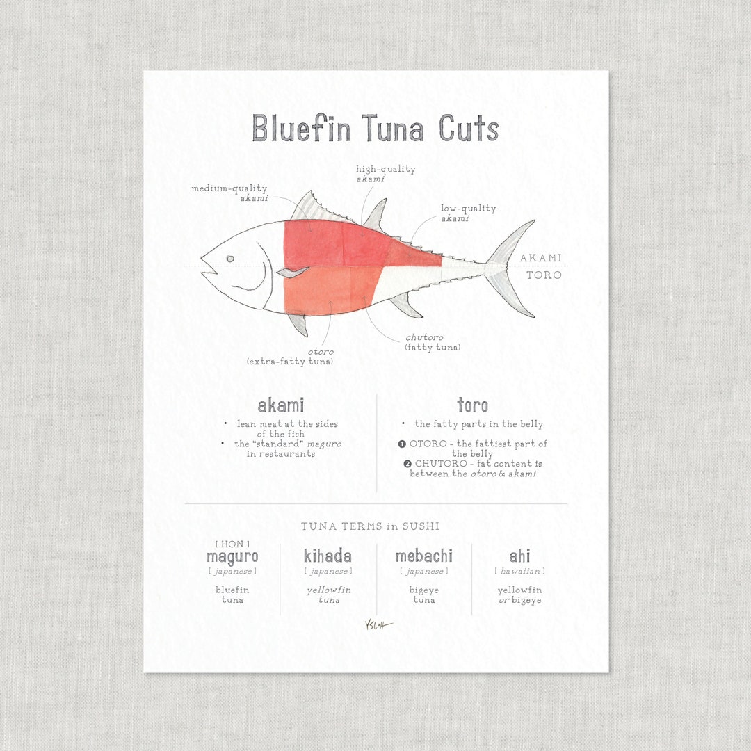 Bluefin Tuna Cuts: 8.5 X 11 Art Print / Watercolor - Etsy