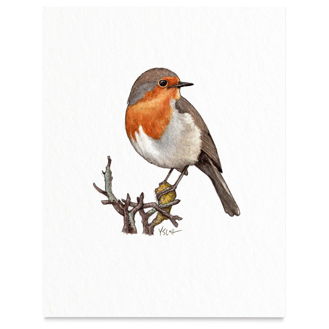 Robin: 8.5x11 Art Print / Watercolor Illustration / Art Print - Etsy