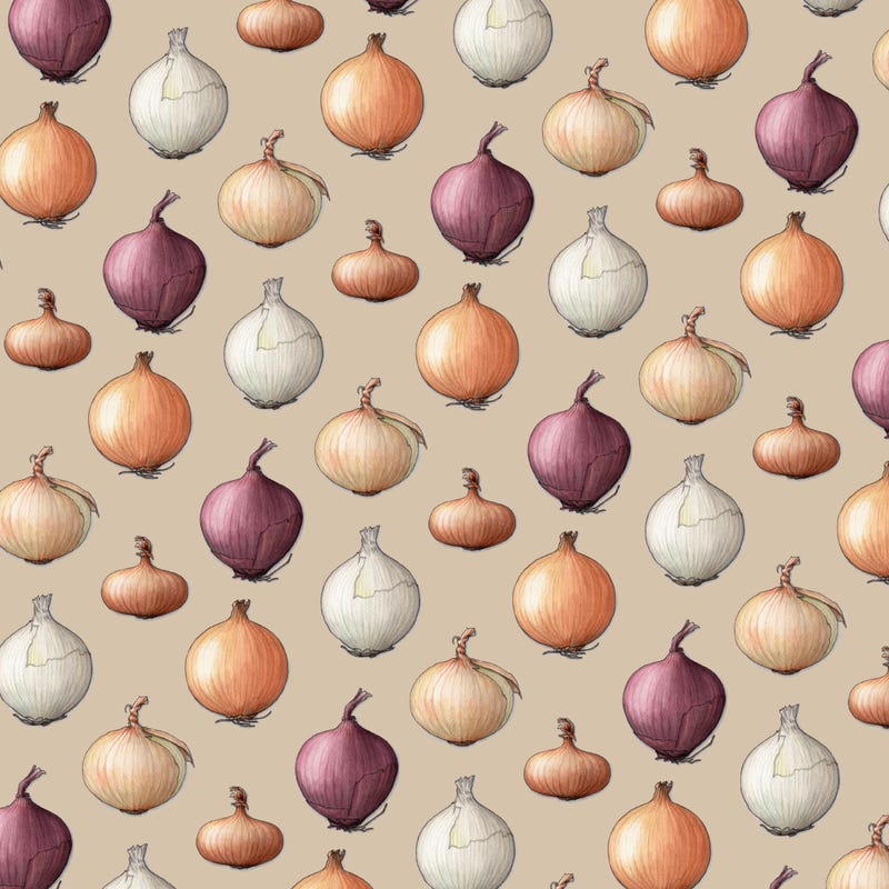 Onions Wrapping Paper - Etsy UK