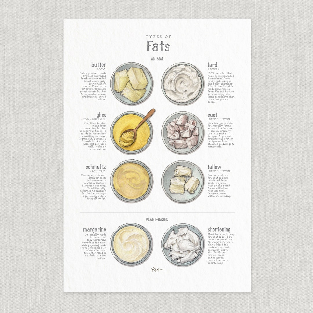 Fats: Fats / Poster / Chart / Types / Food / Illustrations / Art Print ...