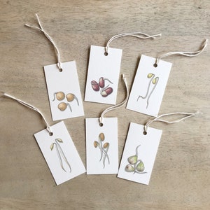 Sprouts & Microgreens: Sprouts Gift Tags / Party Favors / Birthdays ...