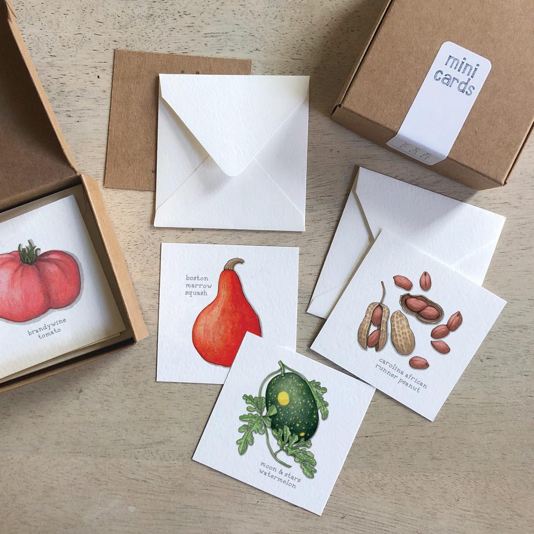 Plant a Seed 2026: Mini Cards Box Set / YSL X Slow Food USA - Etsy
