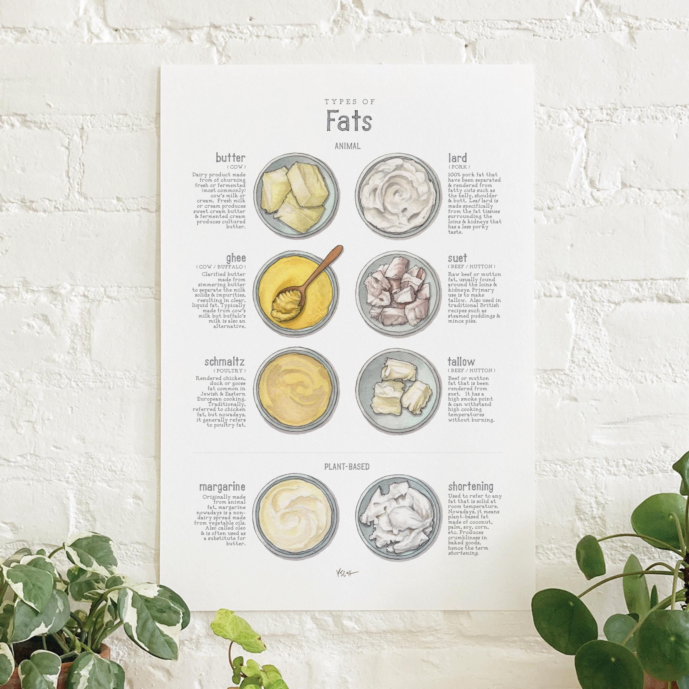 Fats & Oils 1 of 2 (fats): Poster / Chart / Types / Food ...