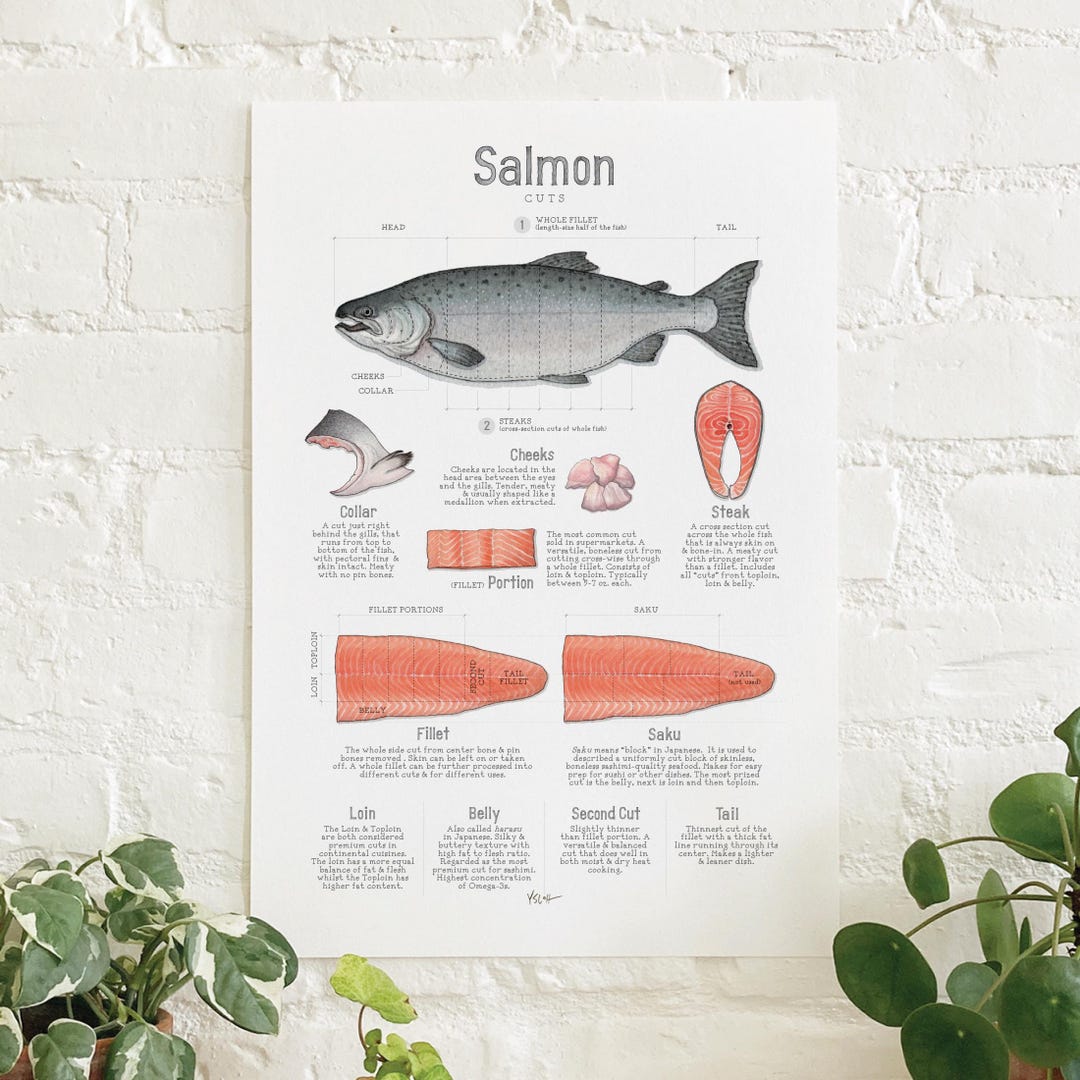 Salmon: Poster / Cuts / Species / Smoked - Etsy