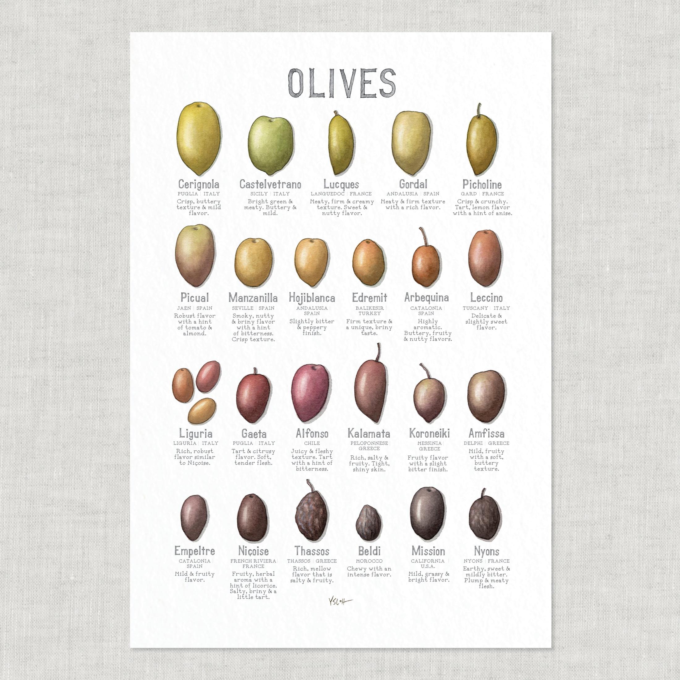 Olives: Poster / Types & Sizes - Etsy