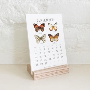 2026 Calendar: Butterflies & Moths / Insect / Insects / Nature / Art ...