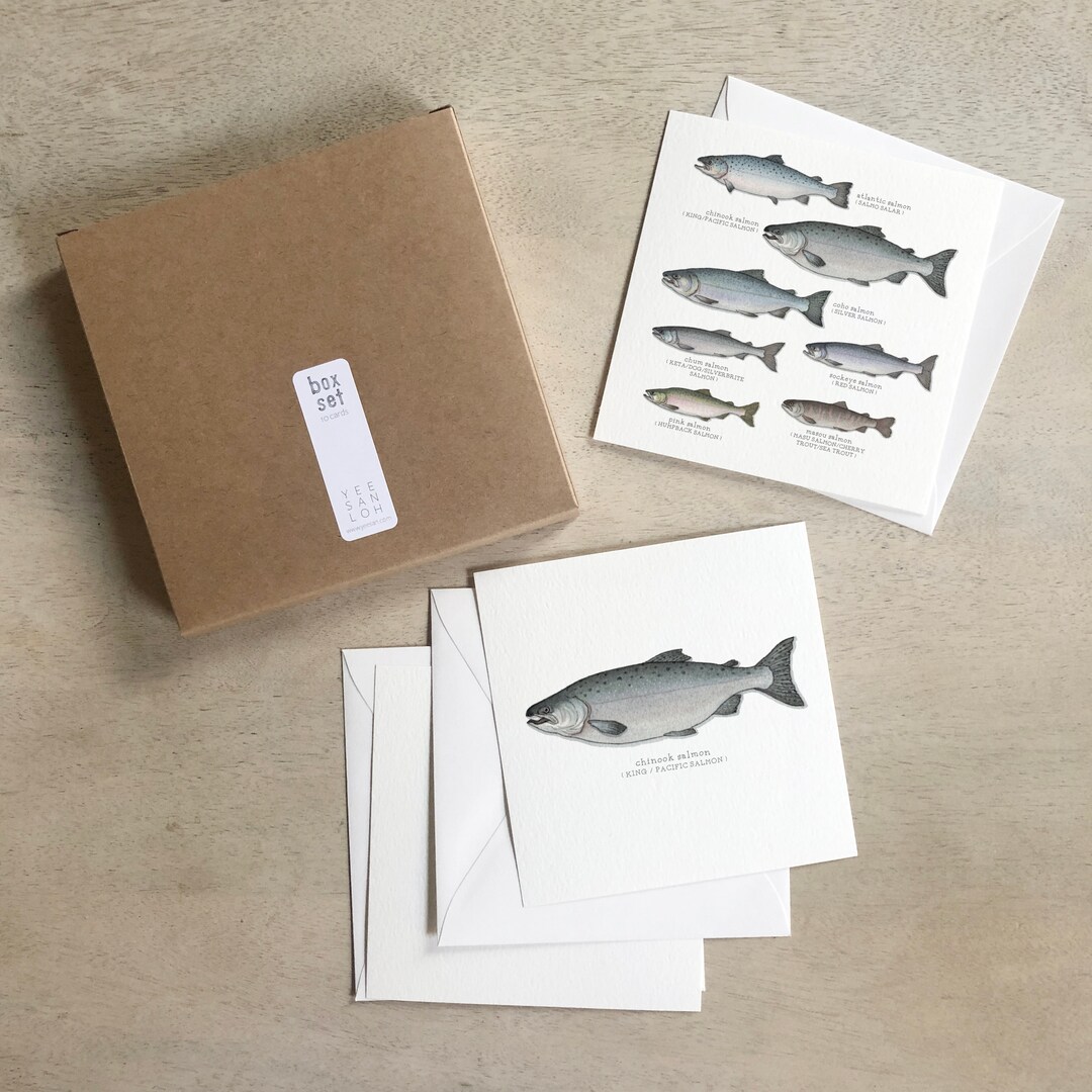Salmon . Species: Cards Box Set / Notecards / Flat Cards / Watercolor ...