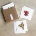 Seaweed: Cards Box Set / Notecards / Flat Cards / Watercolor ...