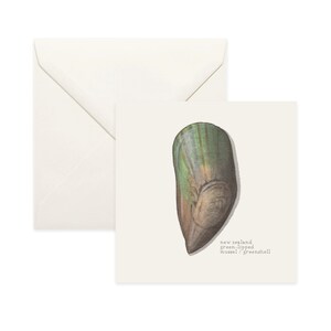 Bivalves2 of 2: Soft-shell Clam / Notecard / Thank You Card / Message ...