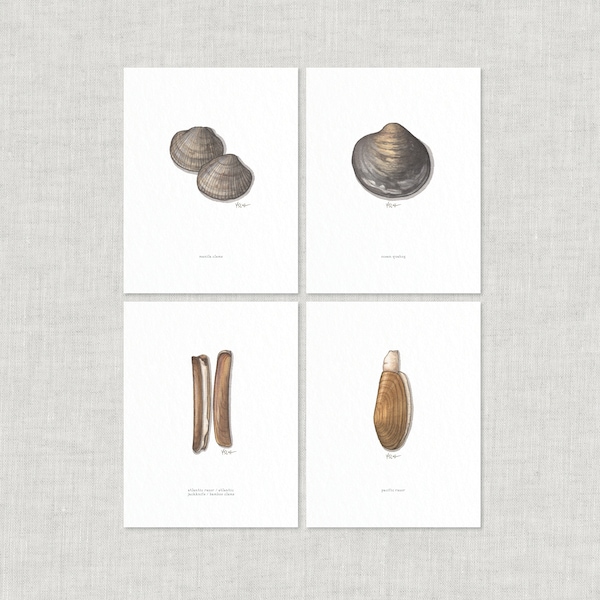 Quahog Art - Etsy