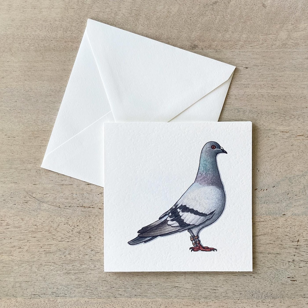 Pigeon Post: Messenger Card / Custom Message / Greetings / Notes ...