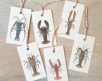 Lobster Tags Round Paper Gift Tags Set of 10 - Etsy