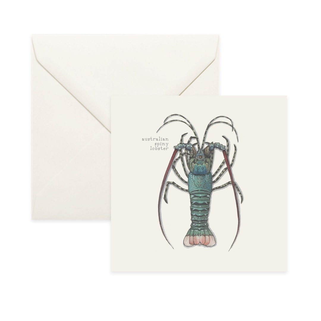 Lobsters: Australian / Spiny / Lobster / Notecard / Thank You / Message ...