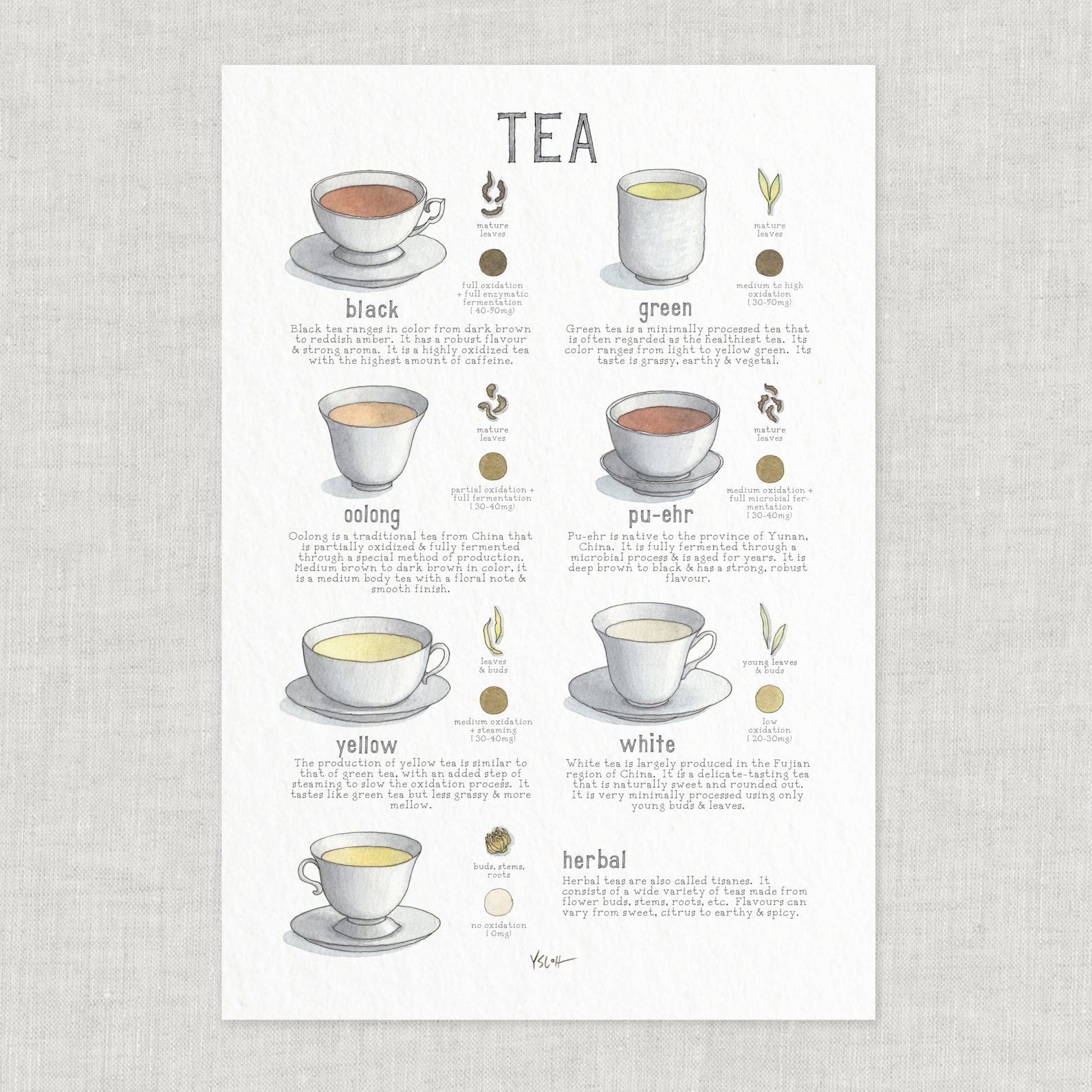 Tea: Poster / Beverage / Illustrations / Art Print / Home - Etsy