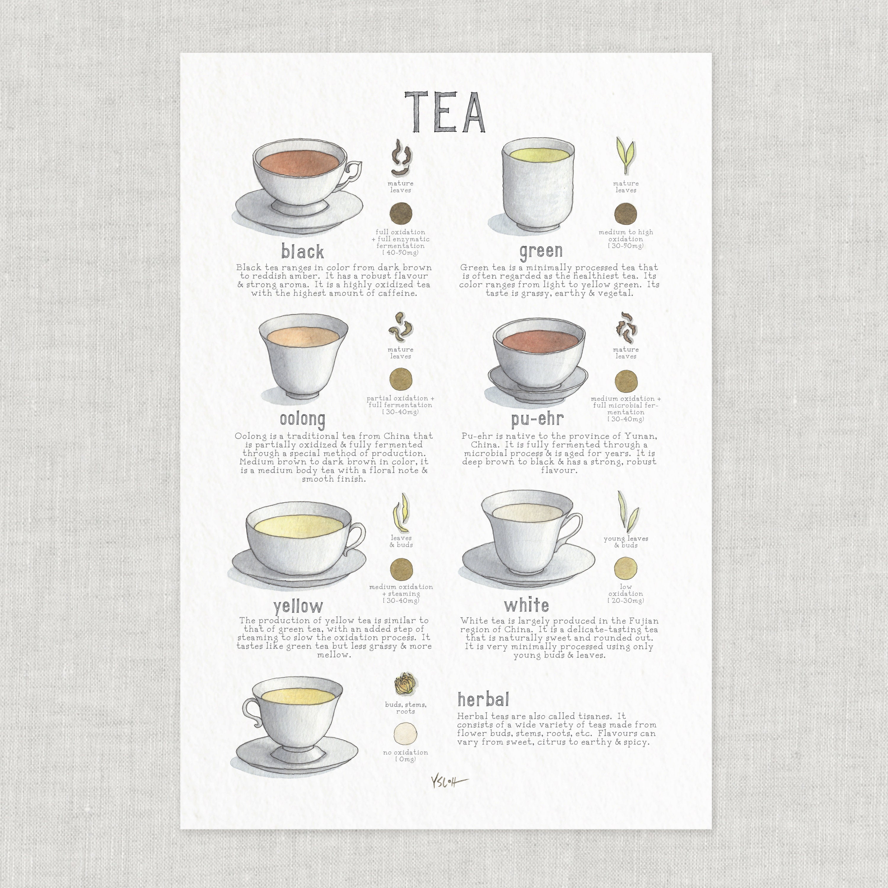 Tea: Poster / Beverage / Illustrations / Art Print / Home | Etsy