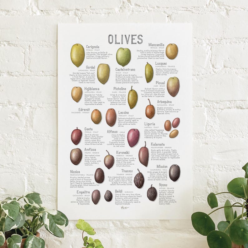 Olives: Poster / Food / Illustrations / Art Print / Home Decor / Fruit ...