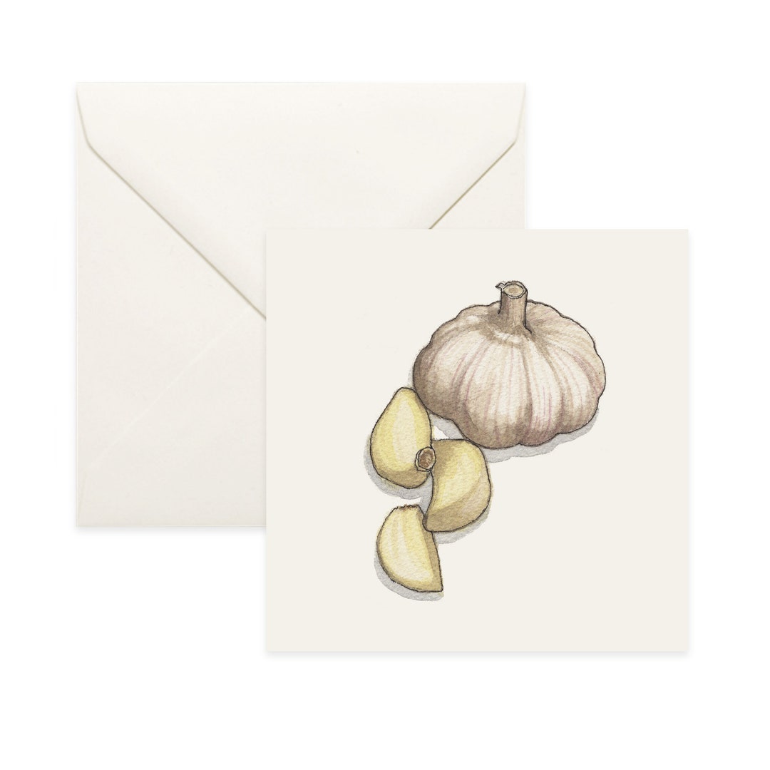 Vegetables: Garlic / Notecard / Thank You Card / Message Card - Etsy