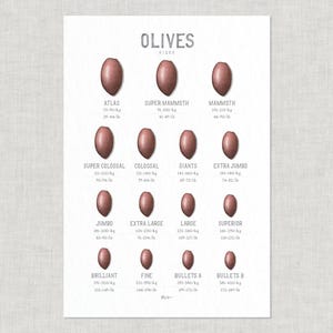 Olive Sizes: Poster / Food / Illustrations / Art Print / Home Decor ...