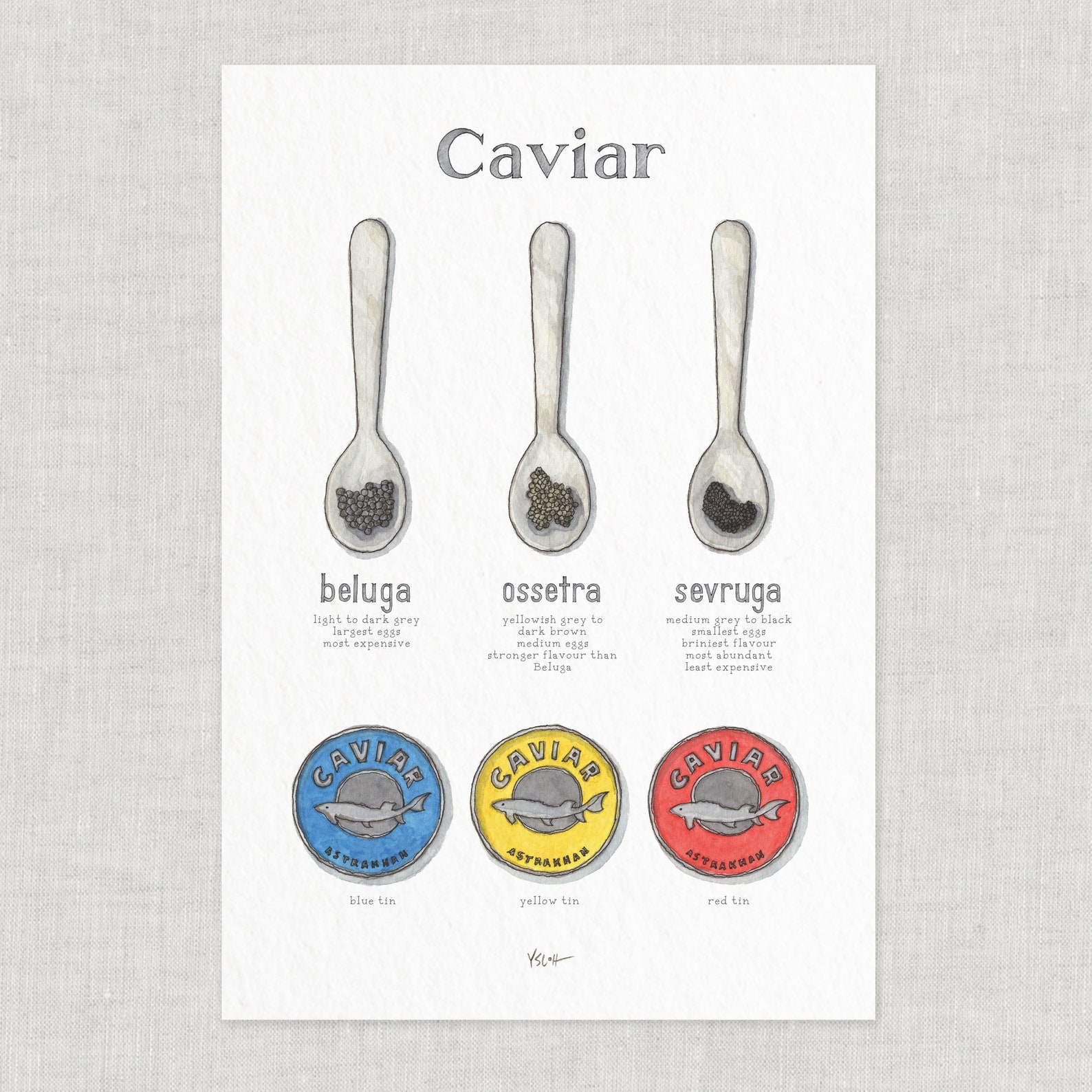 Caviar: Beluga / Serruga / Ossetra / Poster / Food / Gourmet ...