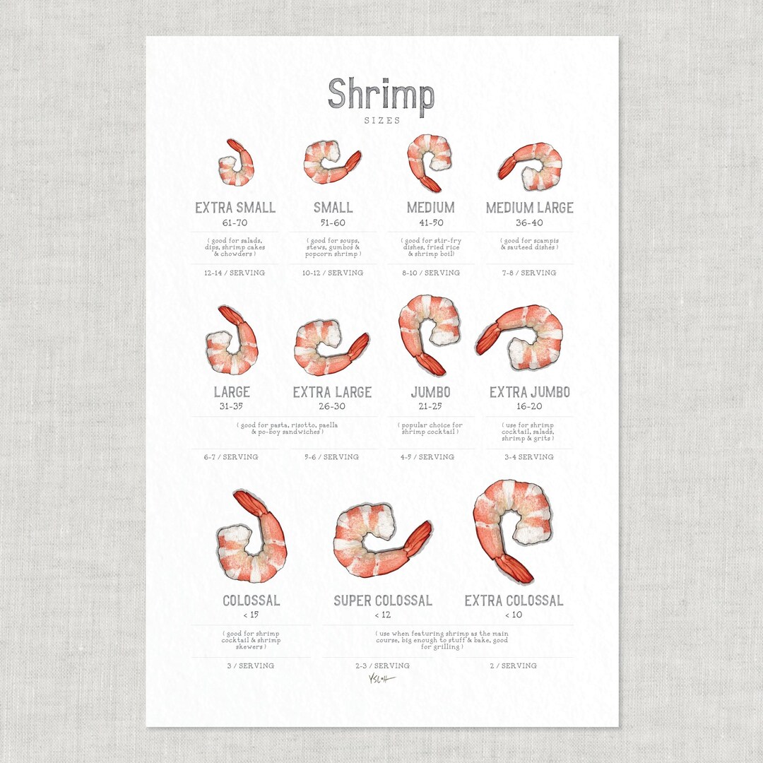 Shrimp Sizes: Poster / Seafood / Food / Cooking / Illustrations / Art ...