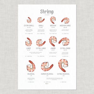 Shrimp Sizes: Poster / Seafood - Etsy