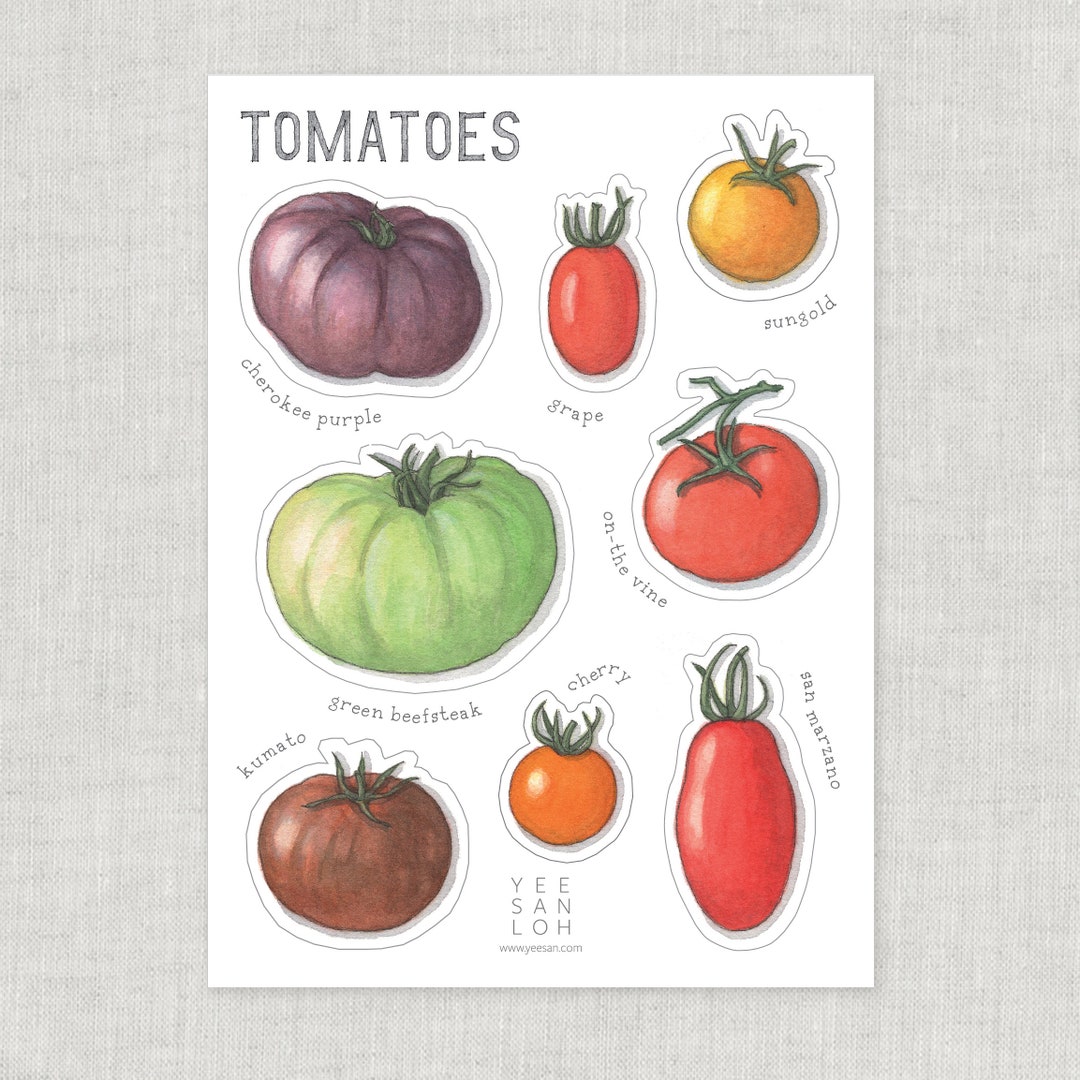 Stickers / Tomato 02 / Scrapbooking / Arts & Craft / Tomatoes - Etsy