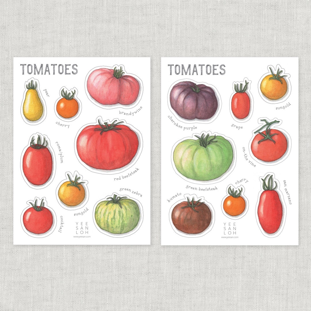 Sticker Set / Tomato / Scrapbooking / Arts & Craft / Tomatoes - Etsy
