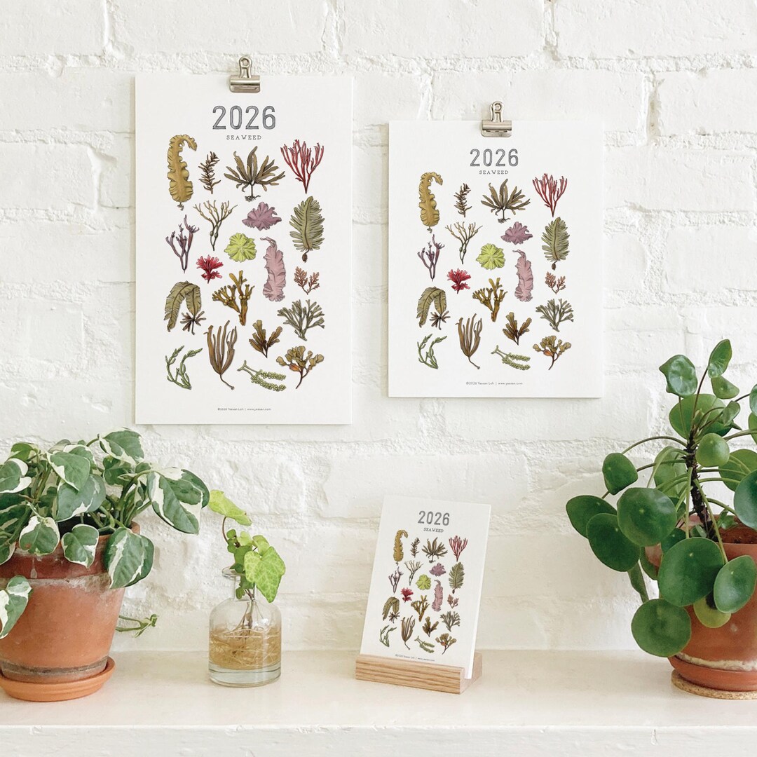 2026 Calendar: Seaweed / Food / Food & Cooking / Illustrations / Art ...