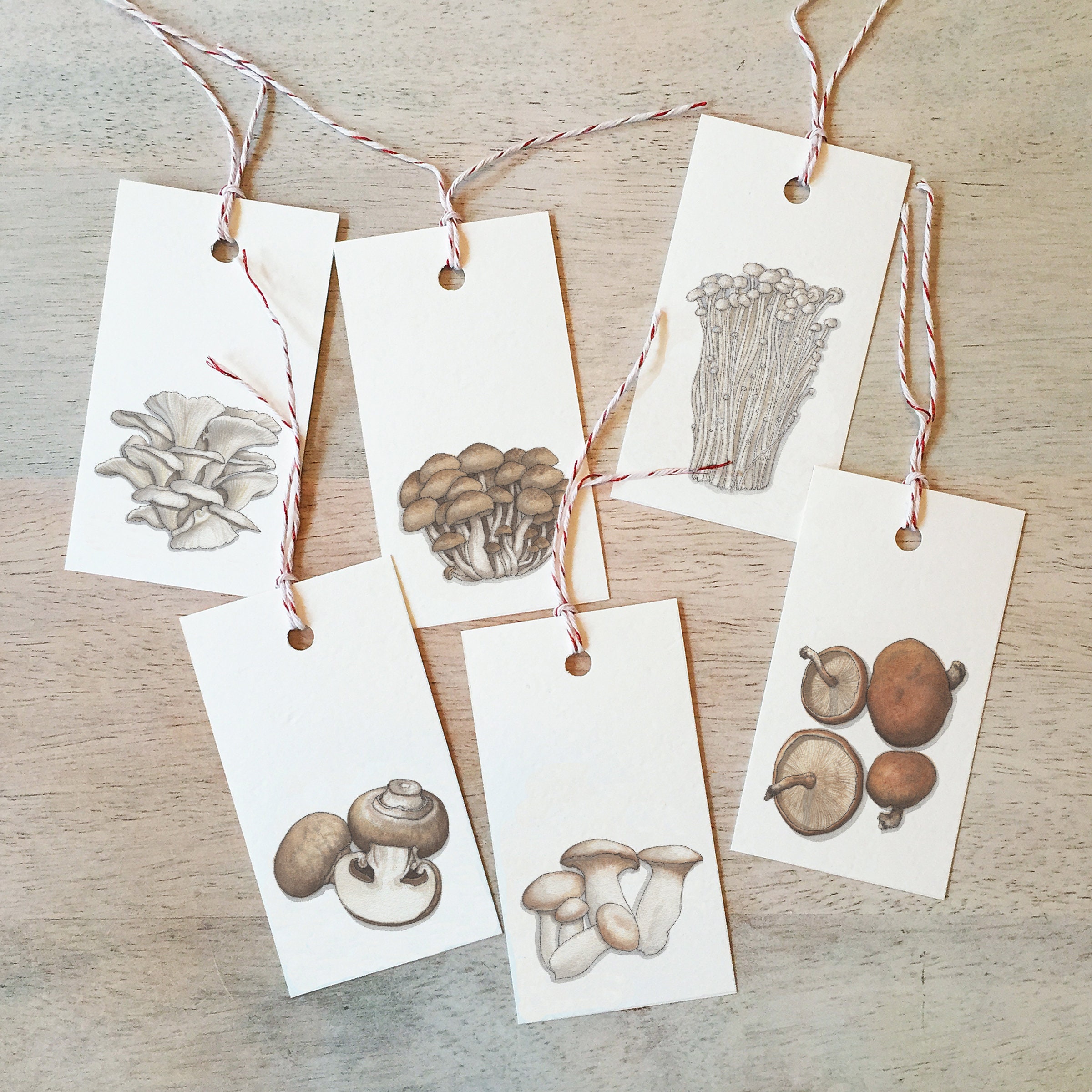 Mushrooms cultivated: Gift Tags / Party Favors / Birthdays / - Etsy UK